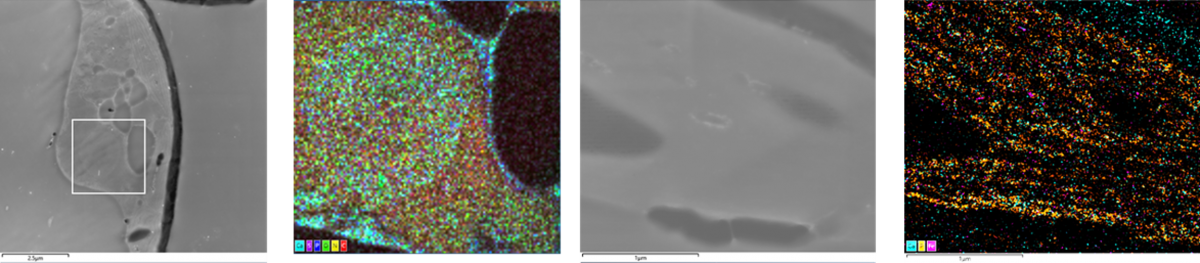 Using EDS for imaging ultrastructure: Colour EM - Nanoanalysis - Oxford Instruments